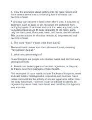 Fossil Interactive Pdf 1 View The Animation About Getting Into The Fossil Record And Write