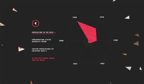 Motionographer® In Pieces A Rare Specimen Of Css Based Animation