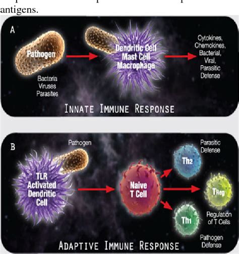 Figure 3 From An Algorithm To Recognize The Adversaries In Self Organizing Networks Inspired
