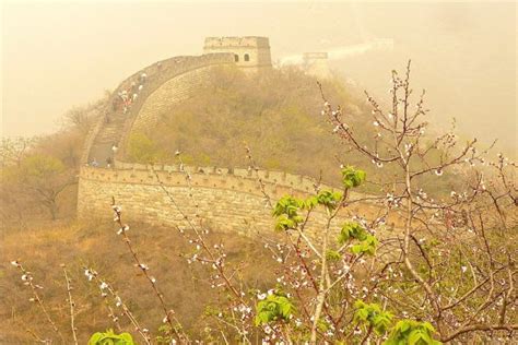 Great Wall Of China View Of Cherry Blossoms Suejee Quon Photography