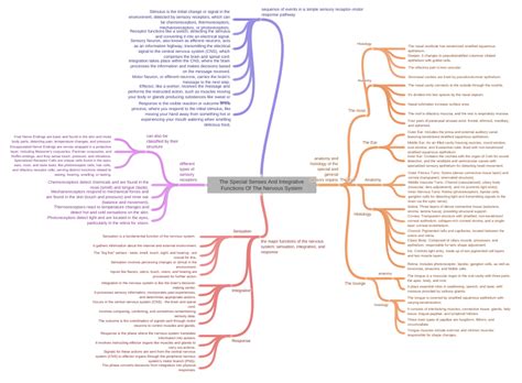 The Special Senses And Integrative Functions Of The Nervous System