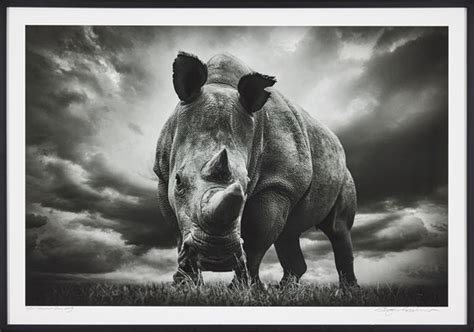 BjÖrn Persson The Last Ones Konst Fotografi Auctionet