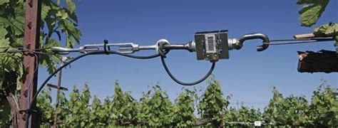 Crop Monitoring Good Fruit Grower