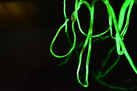 특정 패턴독성 녹색 라임 조명 짠 필라멘트 케이블 나가는 빛이있는 전선 야간 조명의 형태로 네온 전기 발광 와이어 0명에 대한 스톡 사진 및 기타 이미지 Istock