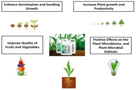Biomolecules Free Full Text Biostimulants Application A Low Input Cropping Management Tool