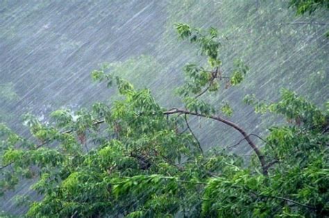 МЧС прогнозирует в Сибири и на Дальнем Востоке сбой систем жизнеобеспечения НИА Хакасия