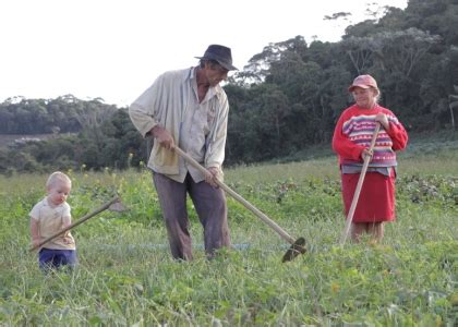Crianças Na Roça Território Do Brincar