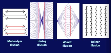 Perception Intro Flashcards Quizlet