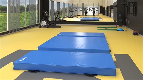 Sports Mat Blue 3d Model 29 3ds Blend C4d Fbx Max Ma Lxo Obj