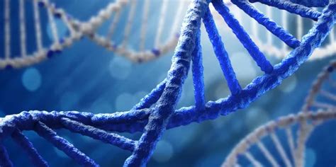 Compliance Considerations For Sponsored Genetic Testing Programs