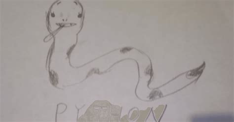 関数の定義と呼び出し方の基礎｜st