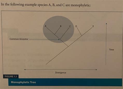 Lab Practical Labs 1 4 Flashcards Quizlet