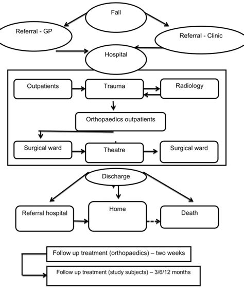 Hip Fracture And Osteoporosis A Comparison Of The Demographic Profile Risk Factors Outcomes