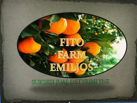 Drejtoria E Drejtoria E Kopshteve Bashkia Konispol