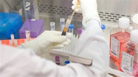 Mayo Clinic Laboratories On Linkedin Genetic Abnormalities Are One Of The Most Important