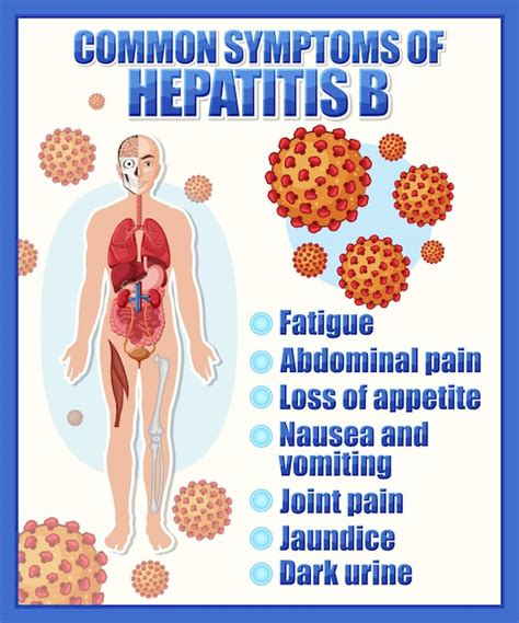 Hepatitis Symptoms In Men Hepatitis C In Men Symptoms Causes And