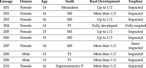 Overview Of Donors Sex Extracted Teeth And Their Root Development Download Scientific