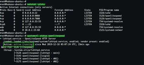 How To Install Openlitespeed Server With Php On Ubuntu 1804 Lts