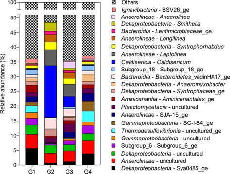 Relative Abundance Of Bacterial Community Class Genus In The