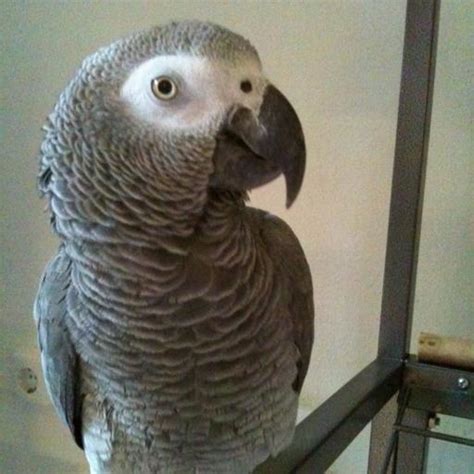 Find Common Characters In Two Strings Online Design Talk