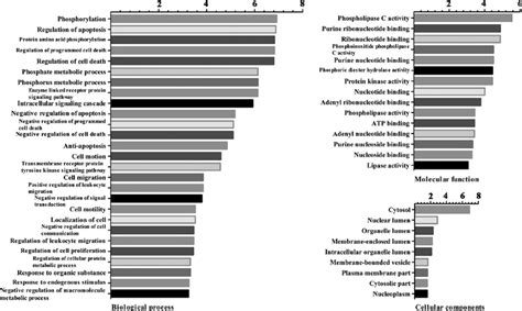 Go Analysis Of Biological Process Molecular Function And Cellular