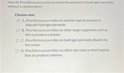 Solved How Do Prochlorococcus Cells Survive In The Presence