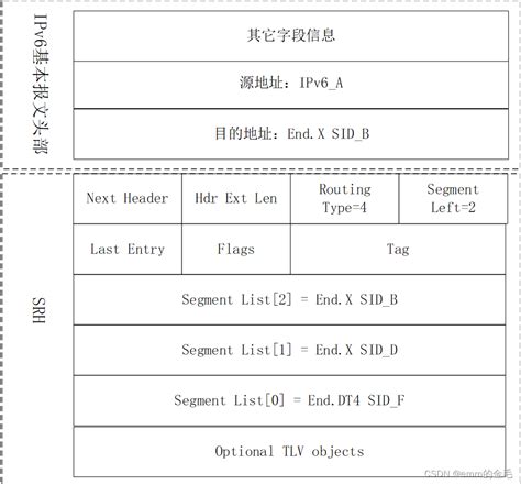 Srv6 报文转发srv6报文格式 Csdn博客