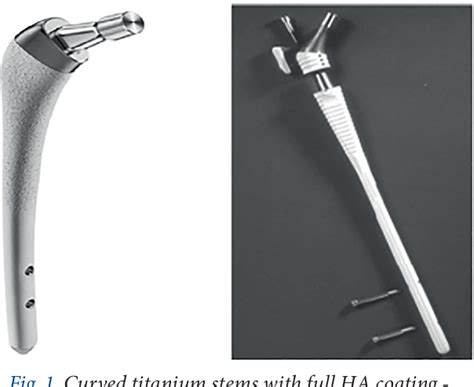Revision Total Hip Replacement Using Long Curved Fully Hydroxyapatite