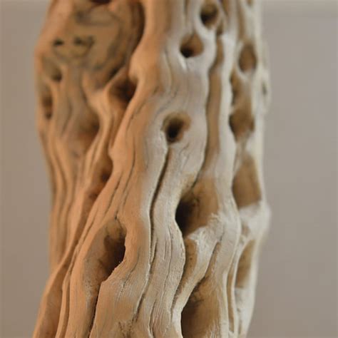 Cholla Wood Etsy