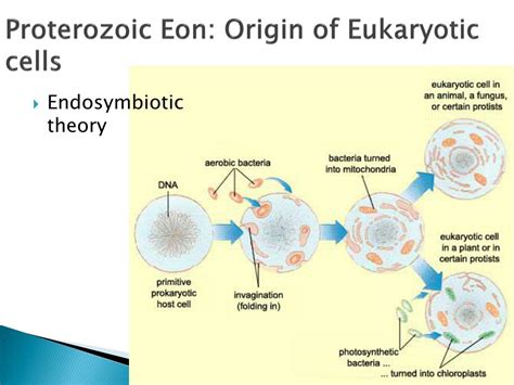 Ppt Earths History Powerpoint Presentation Free Download Id1981507