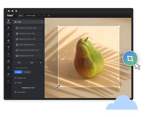 Crop PNG Images Online Fast Free Fotor