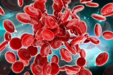 Σακχαρώδης Διαβήτης τύπου 1 και θεραπεία με βλαστοκύτταρα