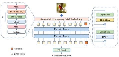 消除视觉transformer与卷积神经网络在小数据集上的差距 知乎