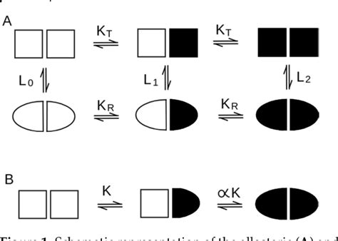 Figure 1 From Structural Basis Of Sequential And Concerted