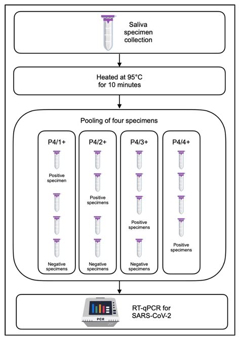 Accelerating The Laboratory Testing Capacity Through Saliva Pooling Prior To Direct Rt Qpcr For