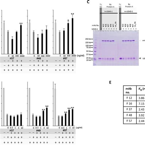 In Vitro Analyses Of Five Types Of Usag 1 Neutralizing Antibodies 12