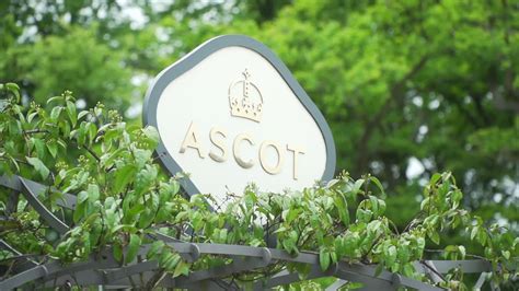 [video] Yassin Hassan Posted On Linkedin