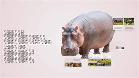 Моделирование роста популяции животных в заповеднике By Аня Майнина On Prezi