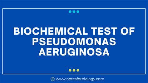 Pseudomonas Aeruginosa Biochemcial Test