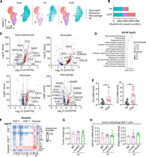 Chemoradiotherapy Induced Ackr2 Tumor Cells Drive Cd8 T Cell Senescence And Cervical Cancer