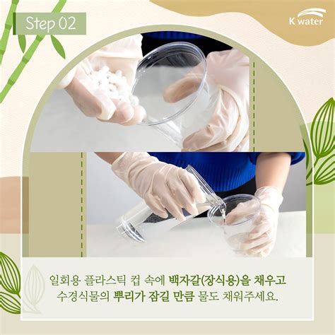 오늘 더 나은 실천 1일 1제로 웨이스트 일회용 플라스틱 컵으로 수경 화분 만들기 네이버 포스트