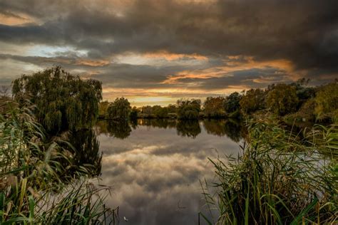 Back Lake East Delph Lakes Carpworld™