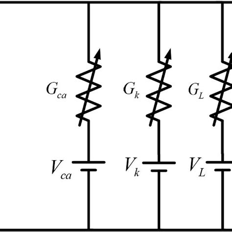 The Circuit Model Of The Ml Neuron Exposed To Electric And Magnetic Fields Download Scientific