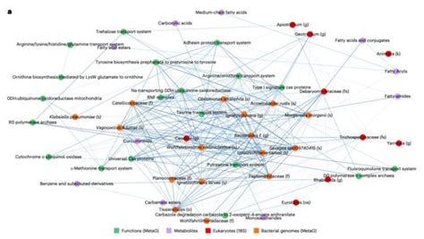 Scientists Identify Universal Network Of Microbes For Meat Decomposition