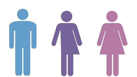 Why Does Gender Matter Simply Catholic