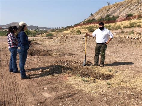 Un Nuevo Bosque 2020 Comisión Nacional Forestal Gobierno Gobmx