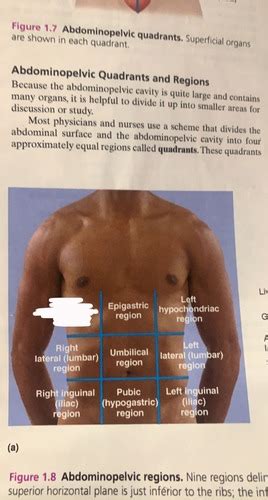 Bio 107 Lab Practical 1 Flashcards Quizlet