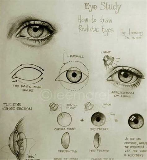 Human Anatomy Drawing Ideas And References Beautiful Dawn Designs Realistic Eye Drawing
