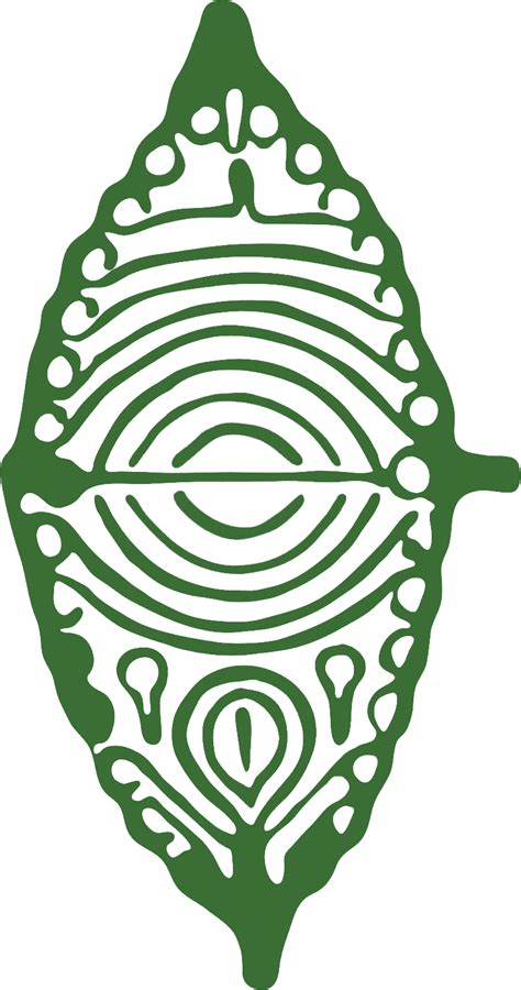 Malecot Osteopatia Barcelona Barcelona Expat Life