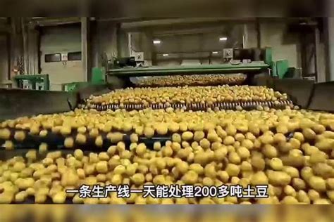 薯片的制作过程原来是这样的你喜欢吃薯片吗 过程